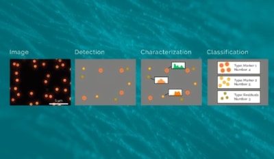 AVAC Analyzer - Mecwins